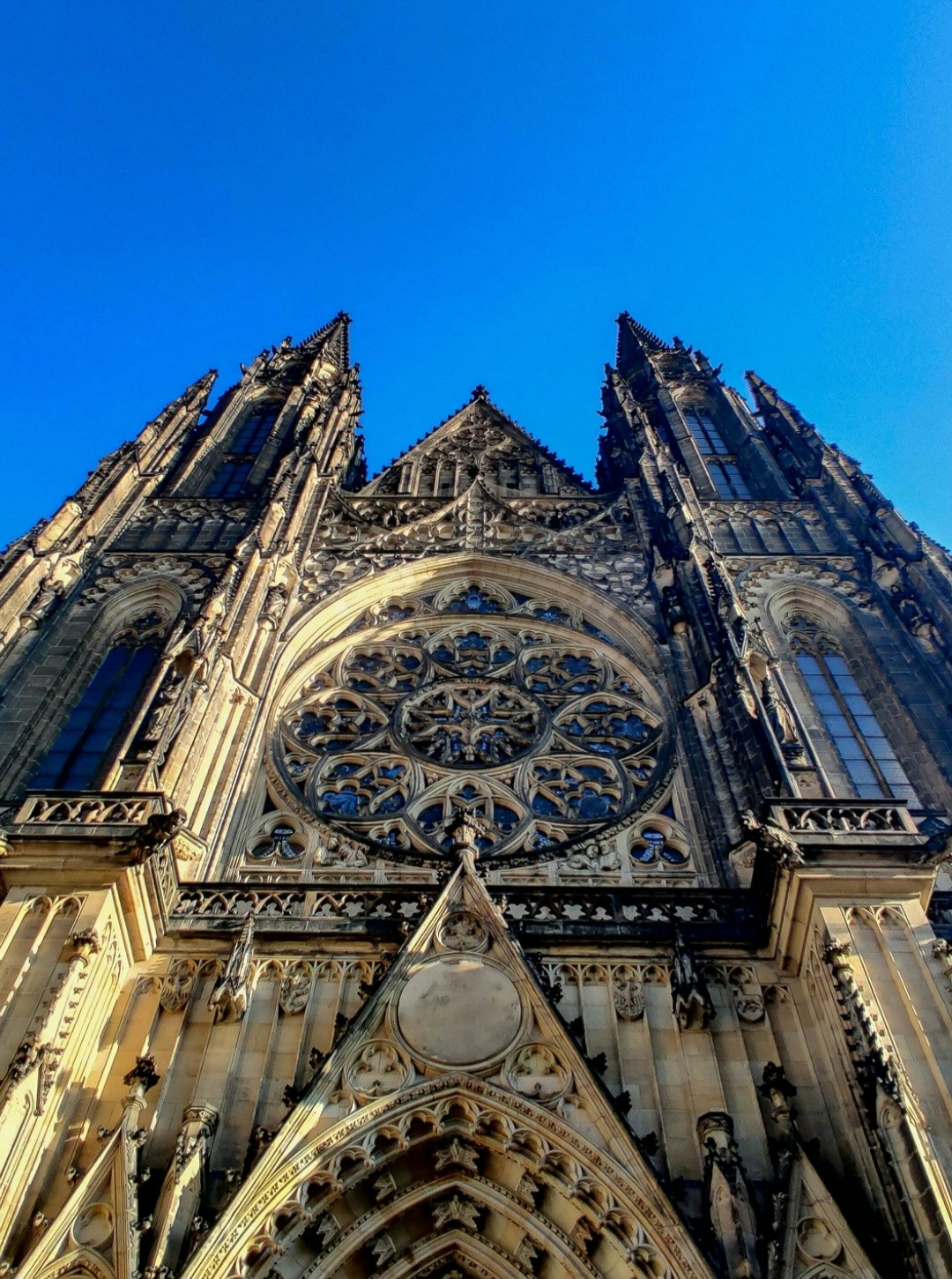 Dominic Kurniawan Suryaputra