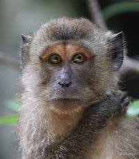 Thomas Lipke (@t_lipke) | Unsplash Photo Community