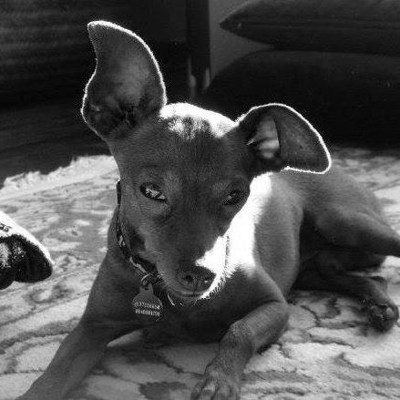 Mike Lorusso (@mikloru) | Unsplash Photo Community