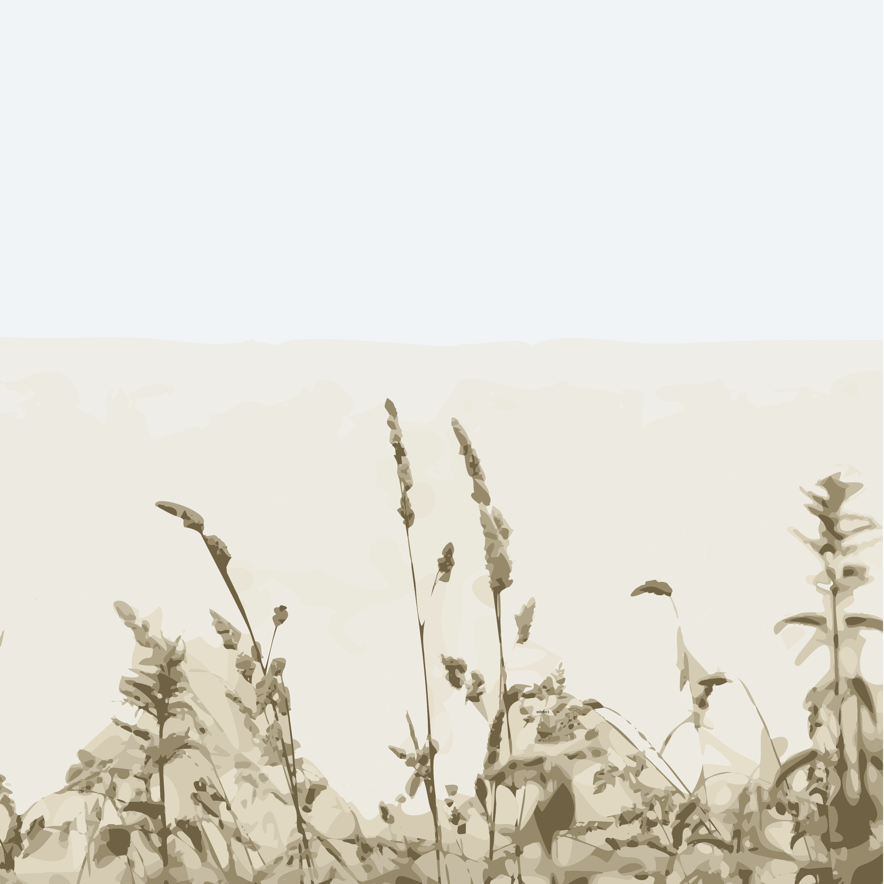 A black and white photo of tall grass vector – Free Grasses Image on ...