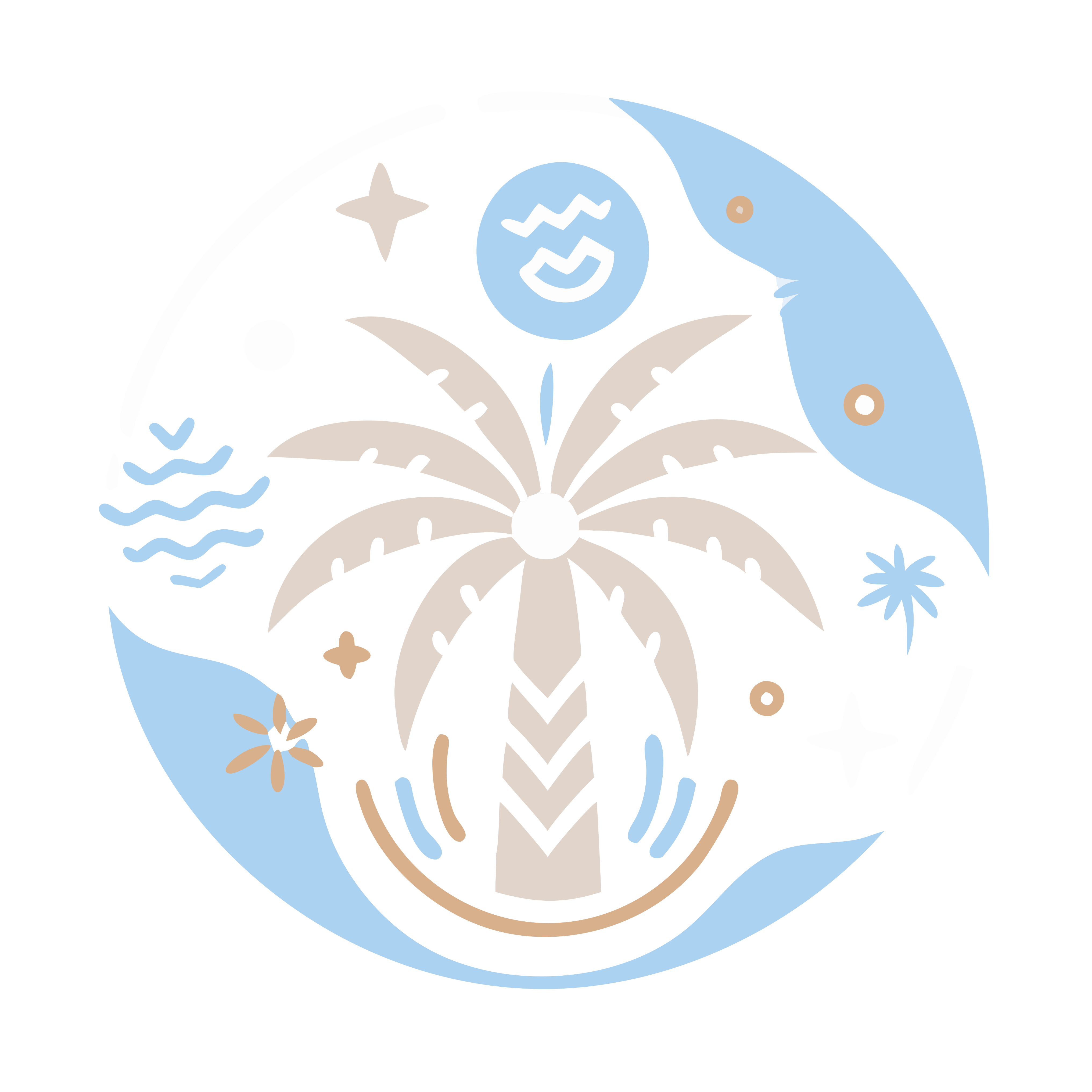 Palm tree with celestial and ocean elements. vector – Free Beach Image on Unsplash