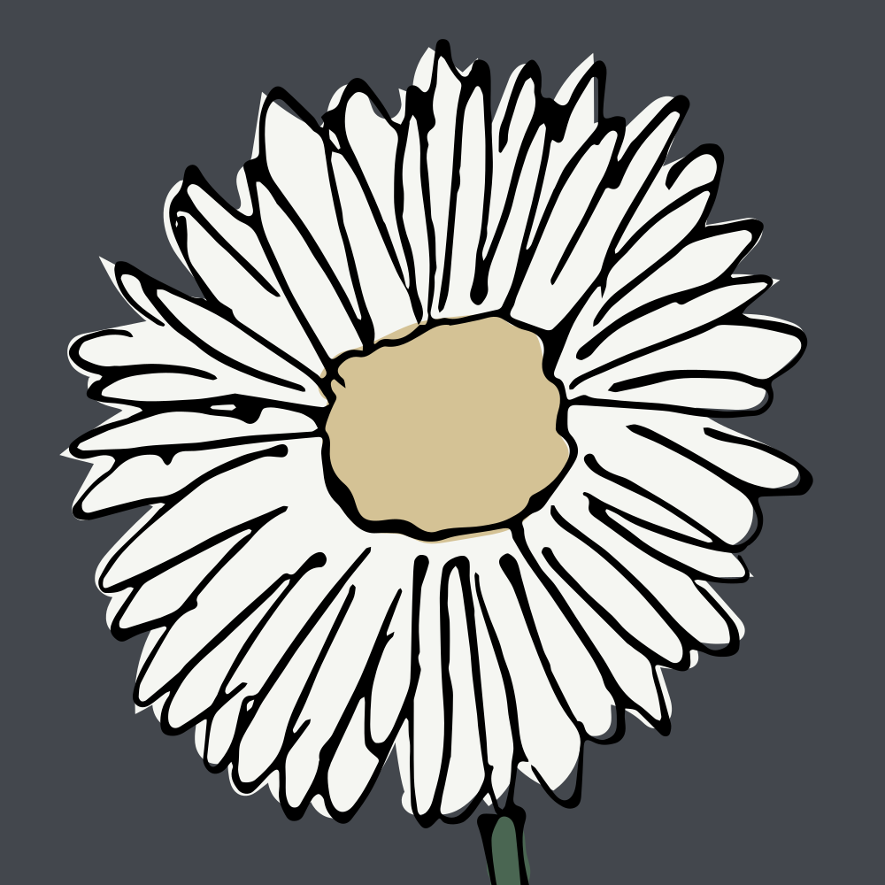 A simple daisy against a dark background. vector – Free Daisy Image on ...