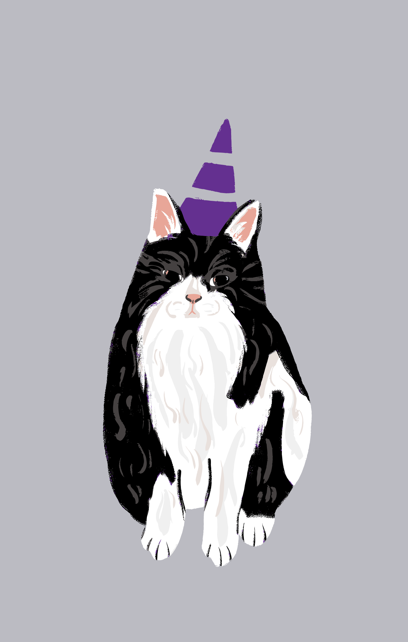 A grumpy cat wears a party hat. vector – Free Image on Unsplash