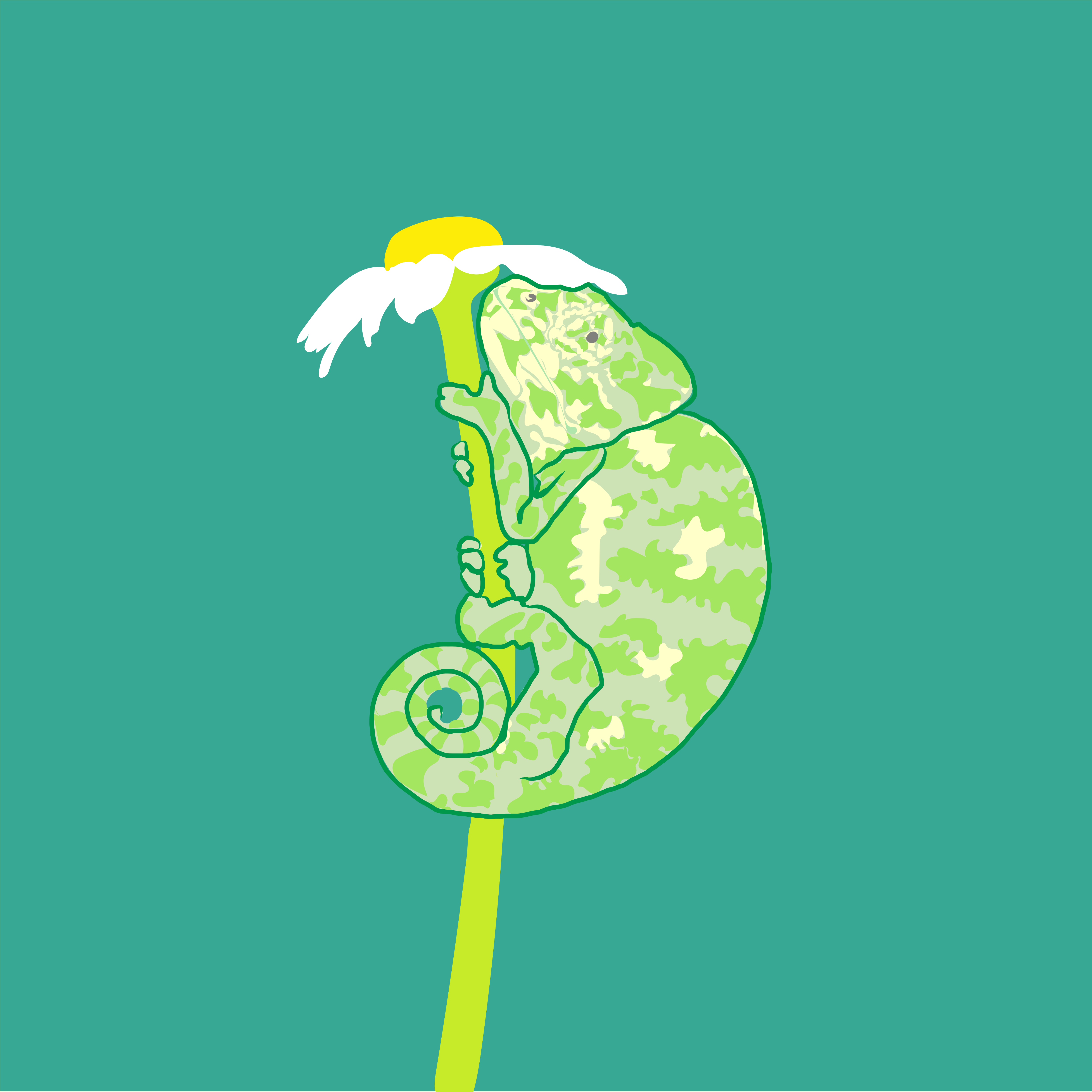 A chameleon clings to a flower stem. vector – Free Daisy Image on Unsplash