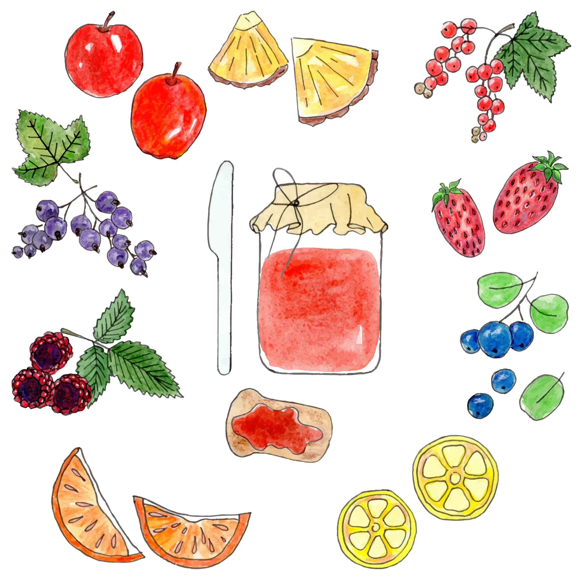 Rappresentazione colorata ad acquerello di vari frutti e marmellate ...