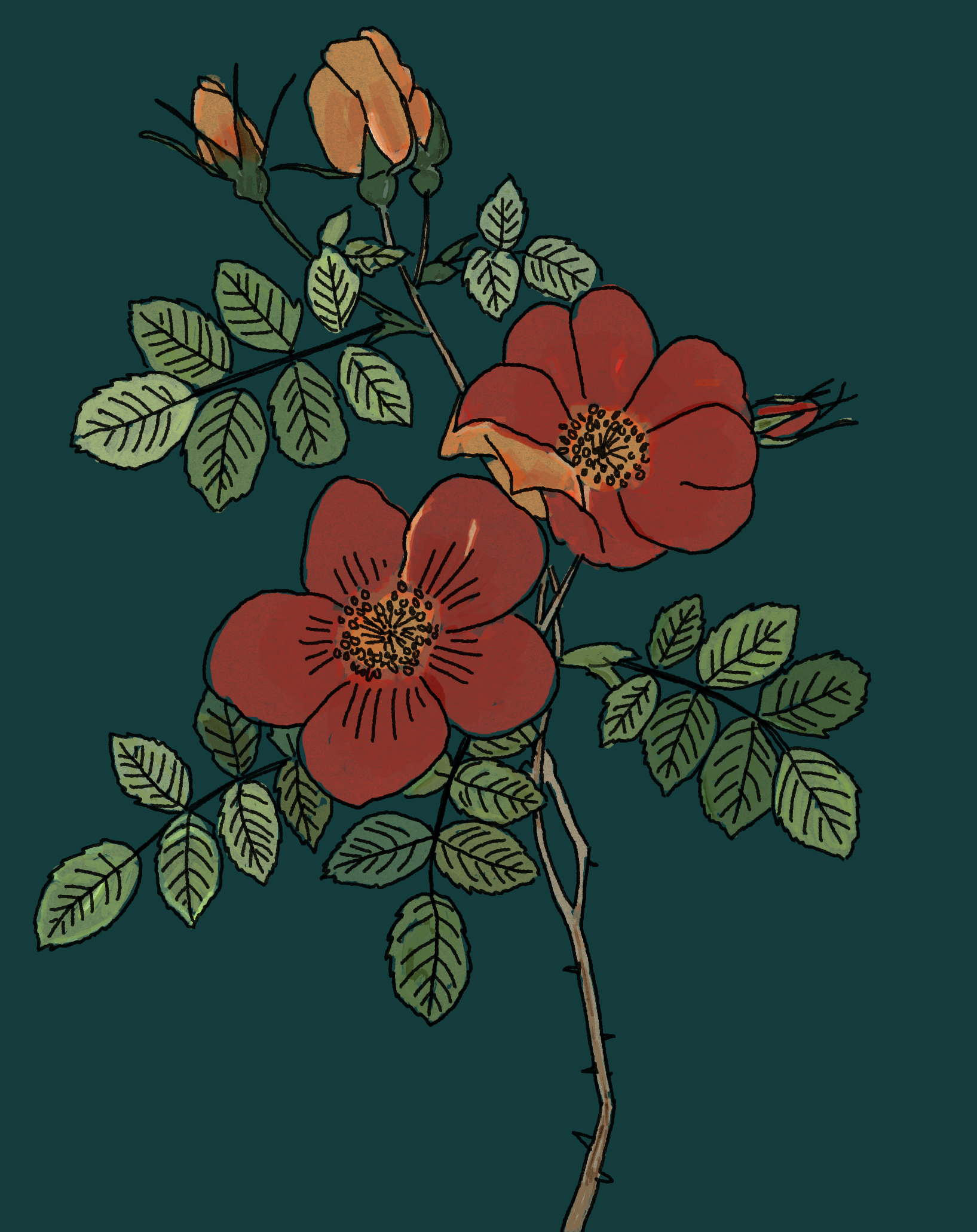 Schöne rote Blüten mit grünen Blättern an einem Zweig. Vektor ...