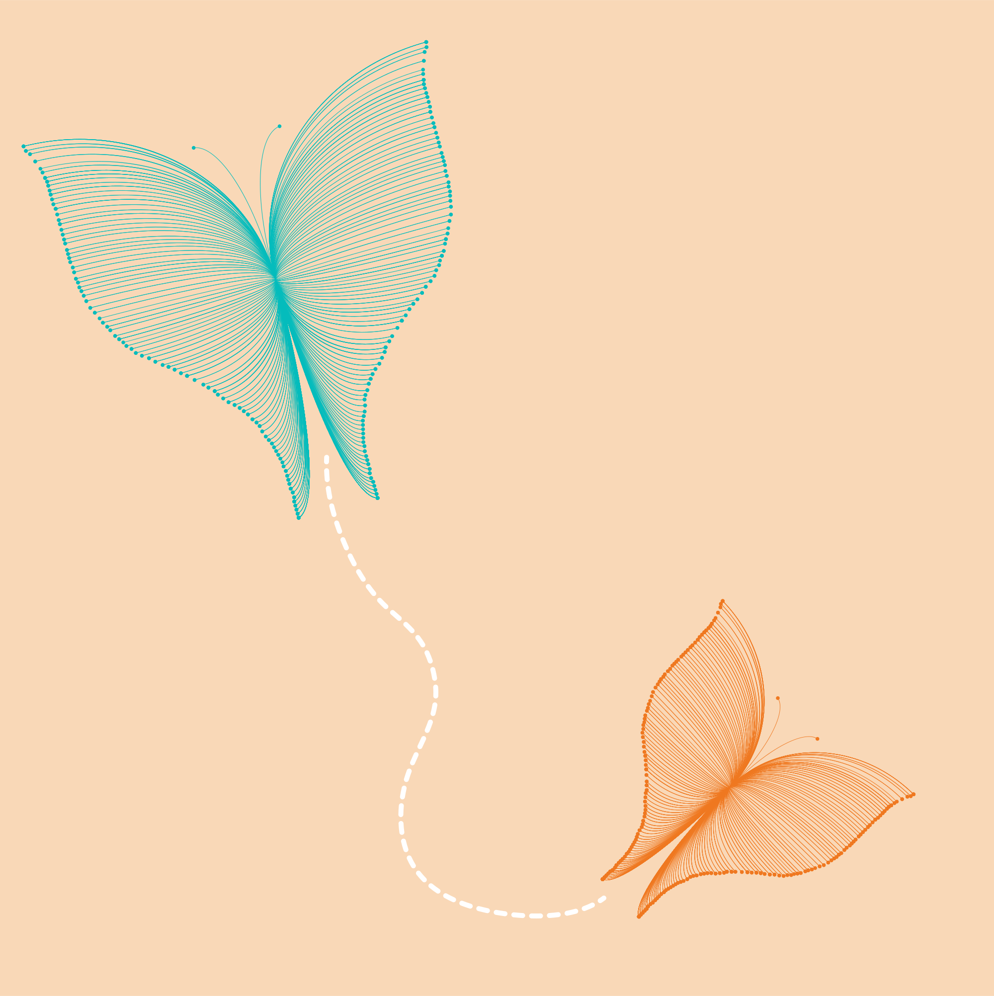 Two butterflies connect with a dotted line. vector – Free Wallpaper ...