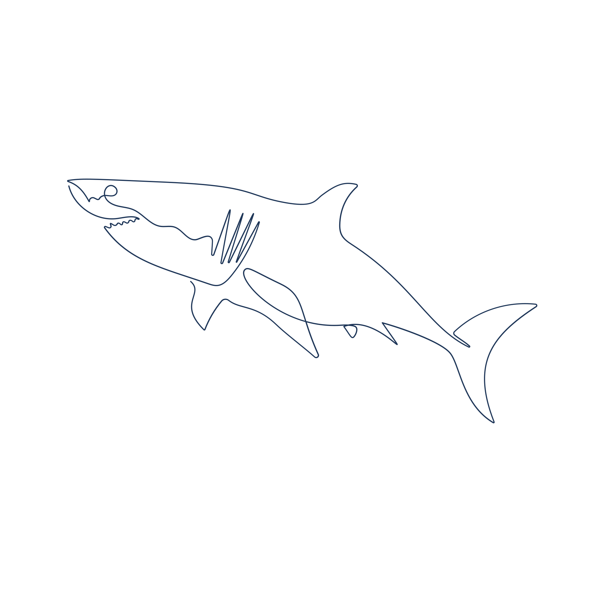 Minimalist line art of a shark swimming vector – Free Art Image on Unsplash