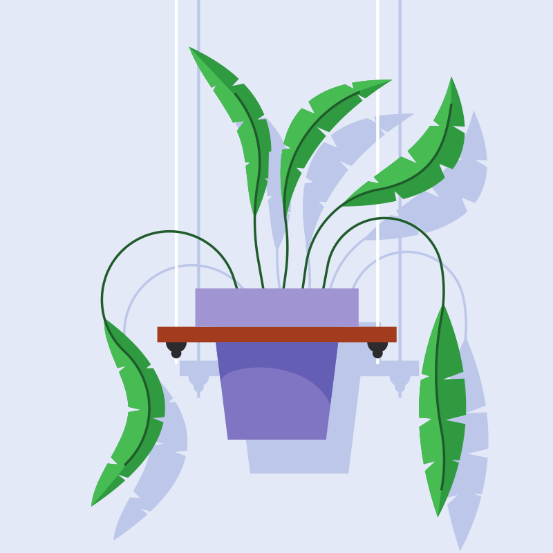 A potted plant with wilting green leaves hangs indoors. vector – Free ...