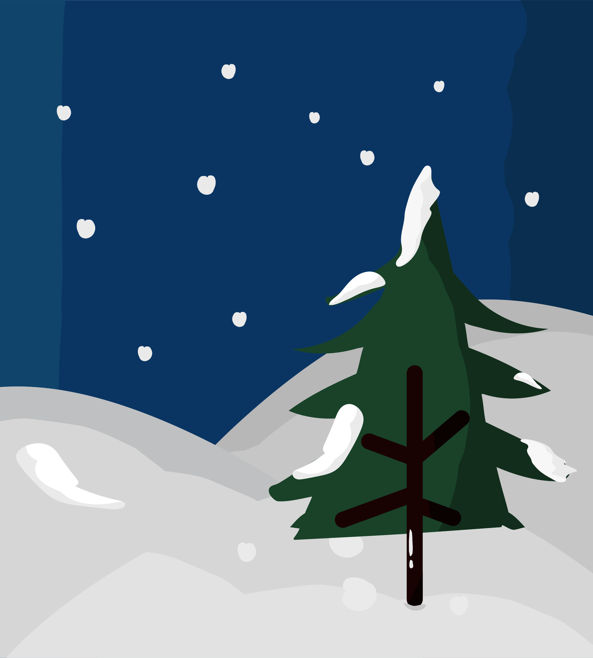 Snowy evergreen tree under a dark night sky. vector – Free Forest Image ...